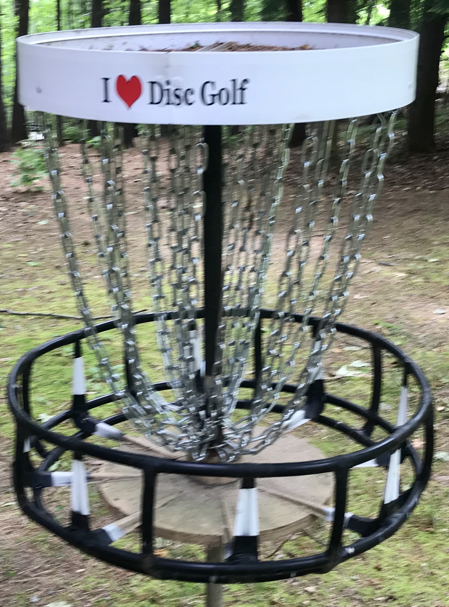 Marshall Street Retriever Pole • Marshall Street Disc Golf