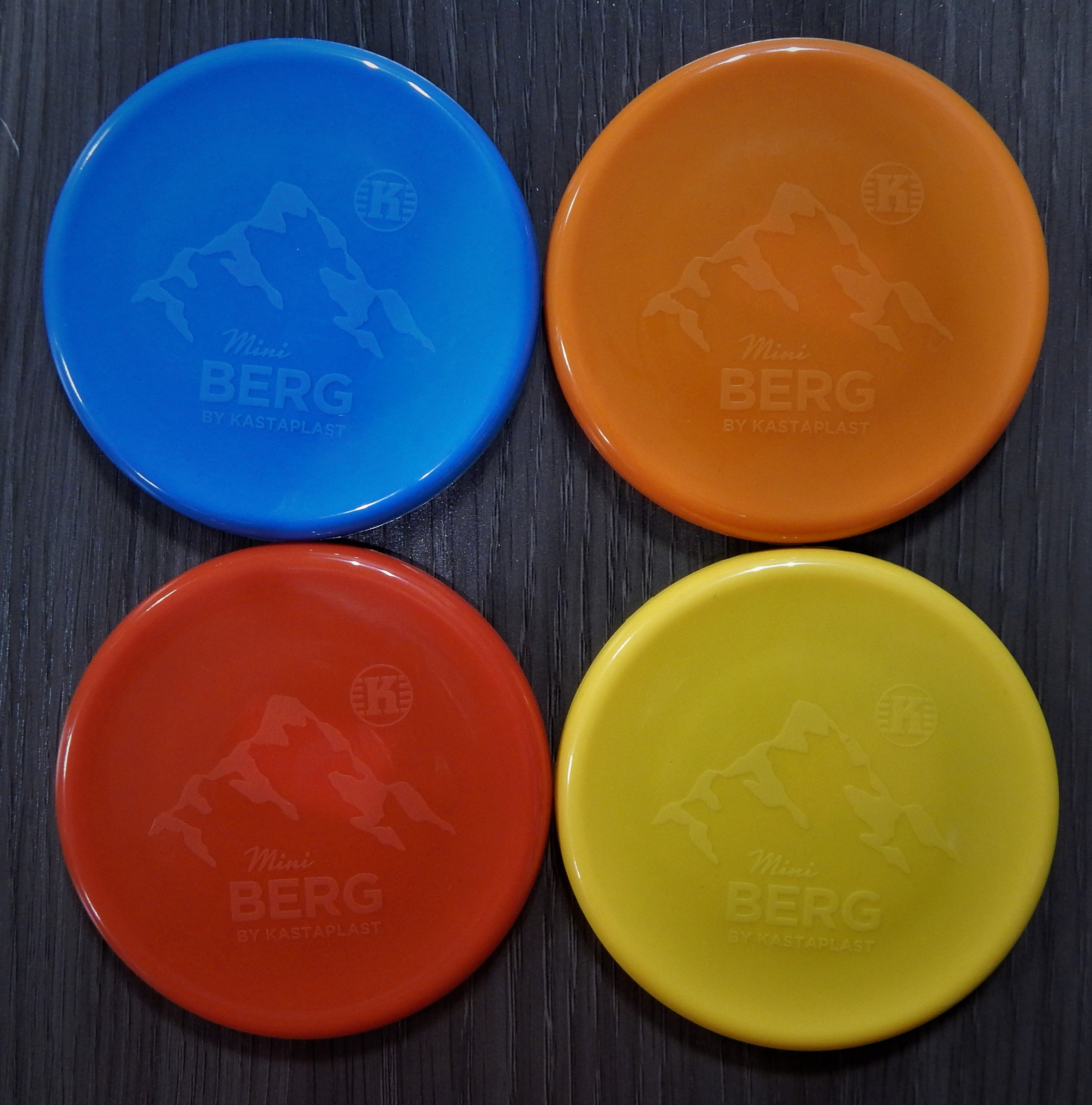 Mini Berg • Marshall Street Disc Golf