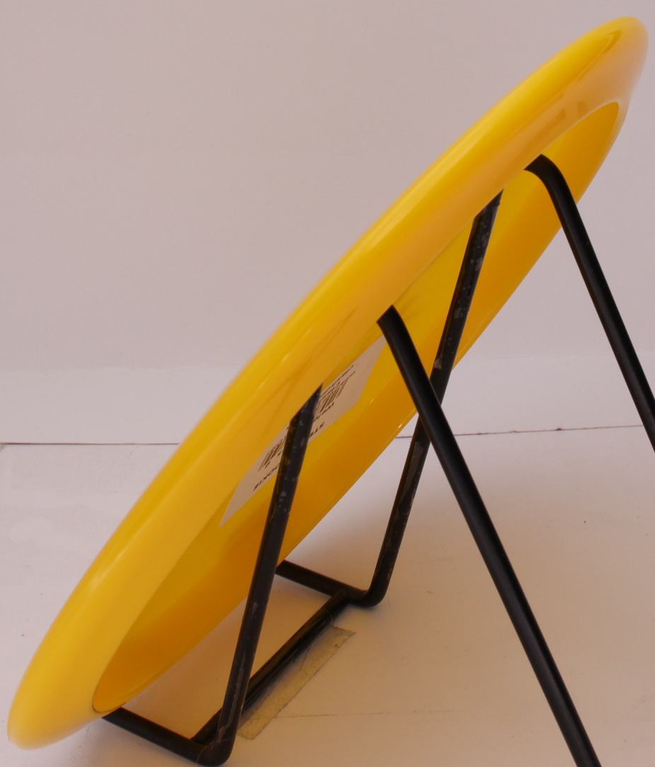 Steady Cookie • Marshall Street Disc Golf